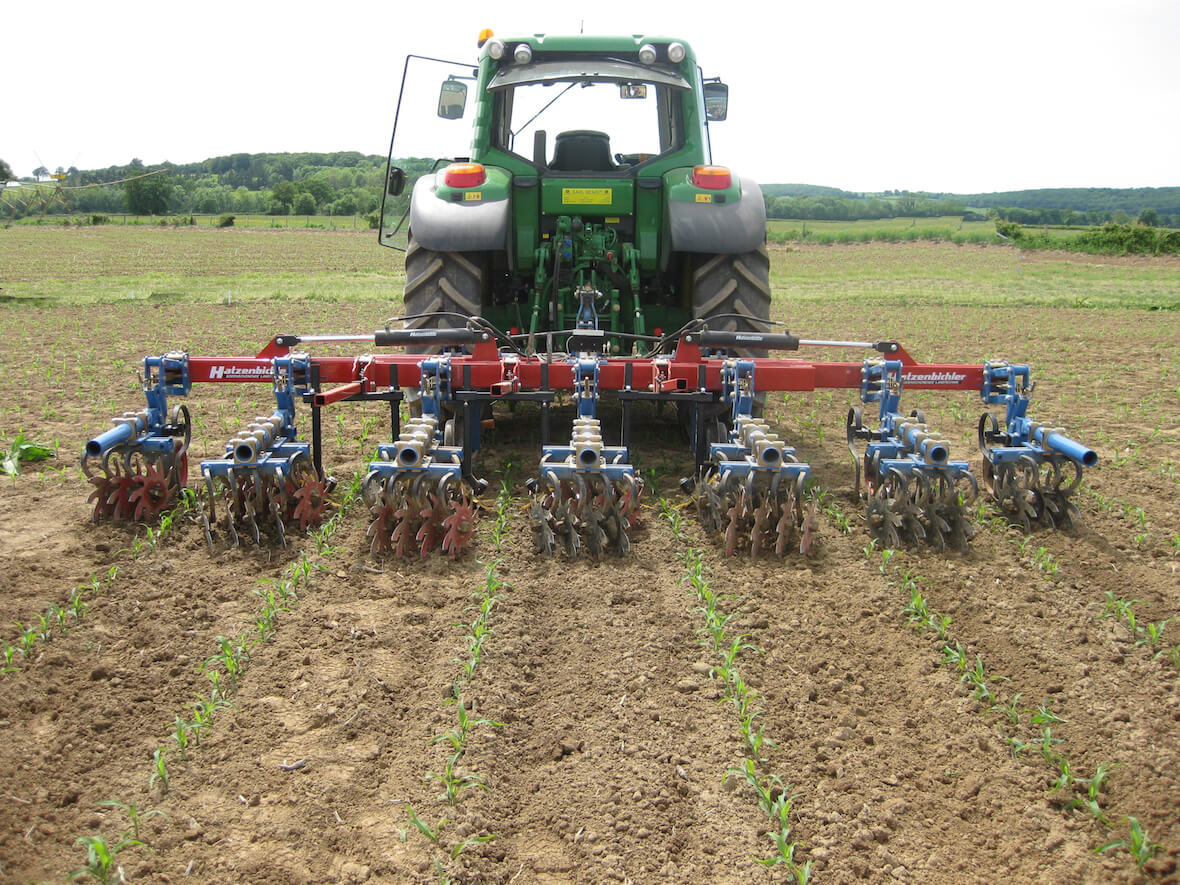 Bineuse à etoiles - Hatzenbichler (Französisch)