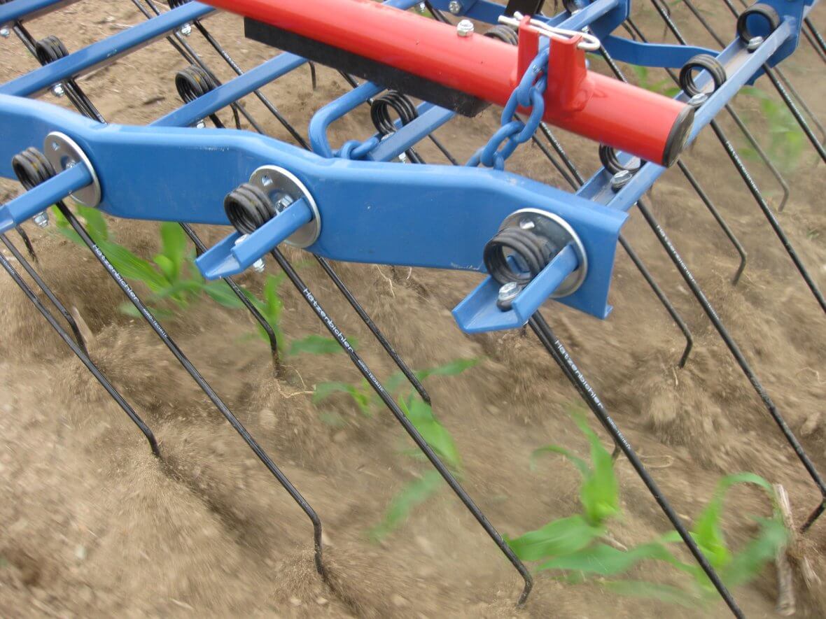 Original-Striegel - Hatzenbichler