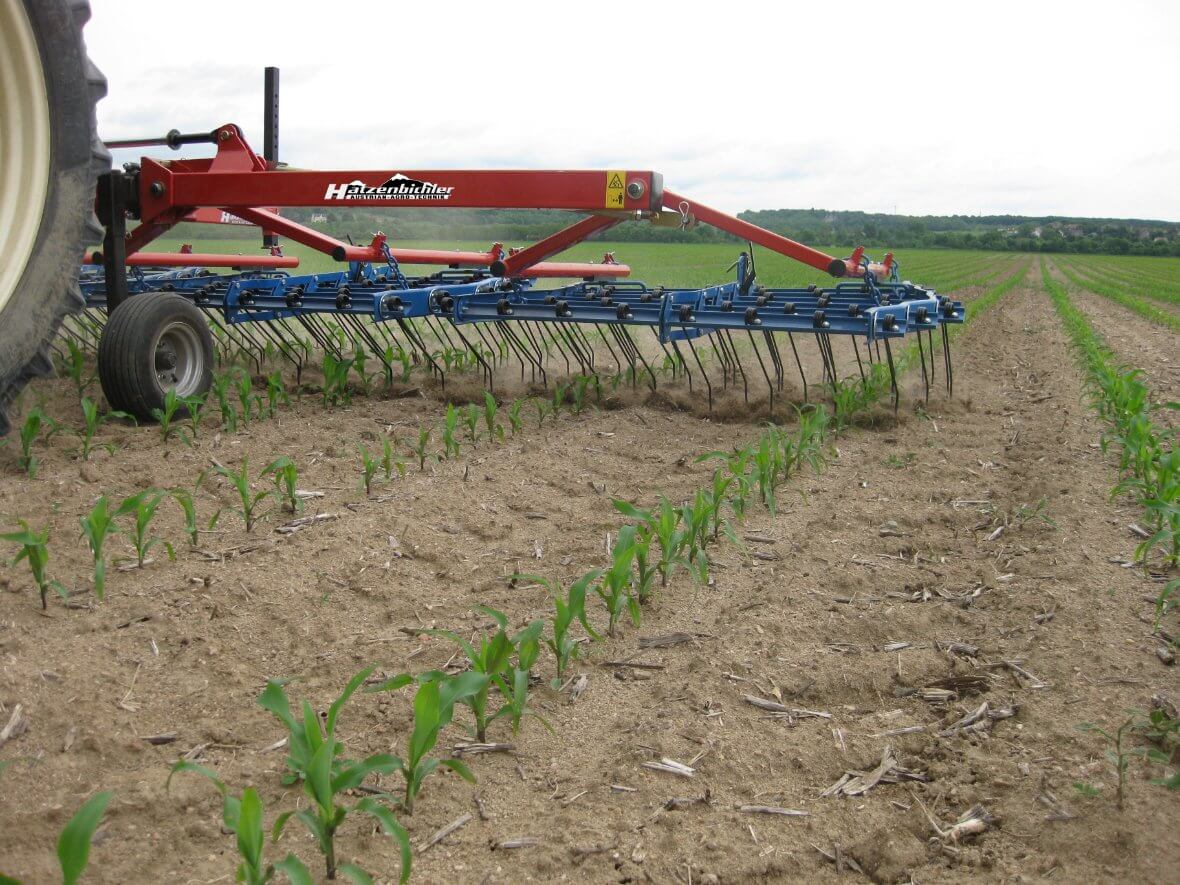 Original-Striegel - Hatzenbichler